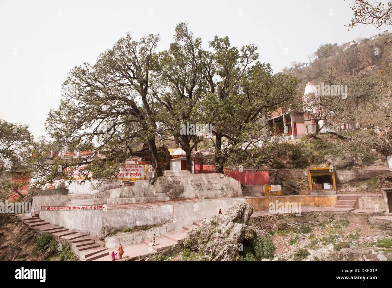 Trees near a temple, Jammu And Kashmir, India Stock Photo - Alamy