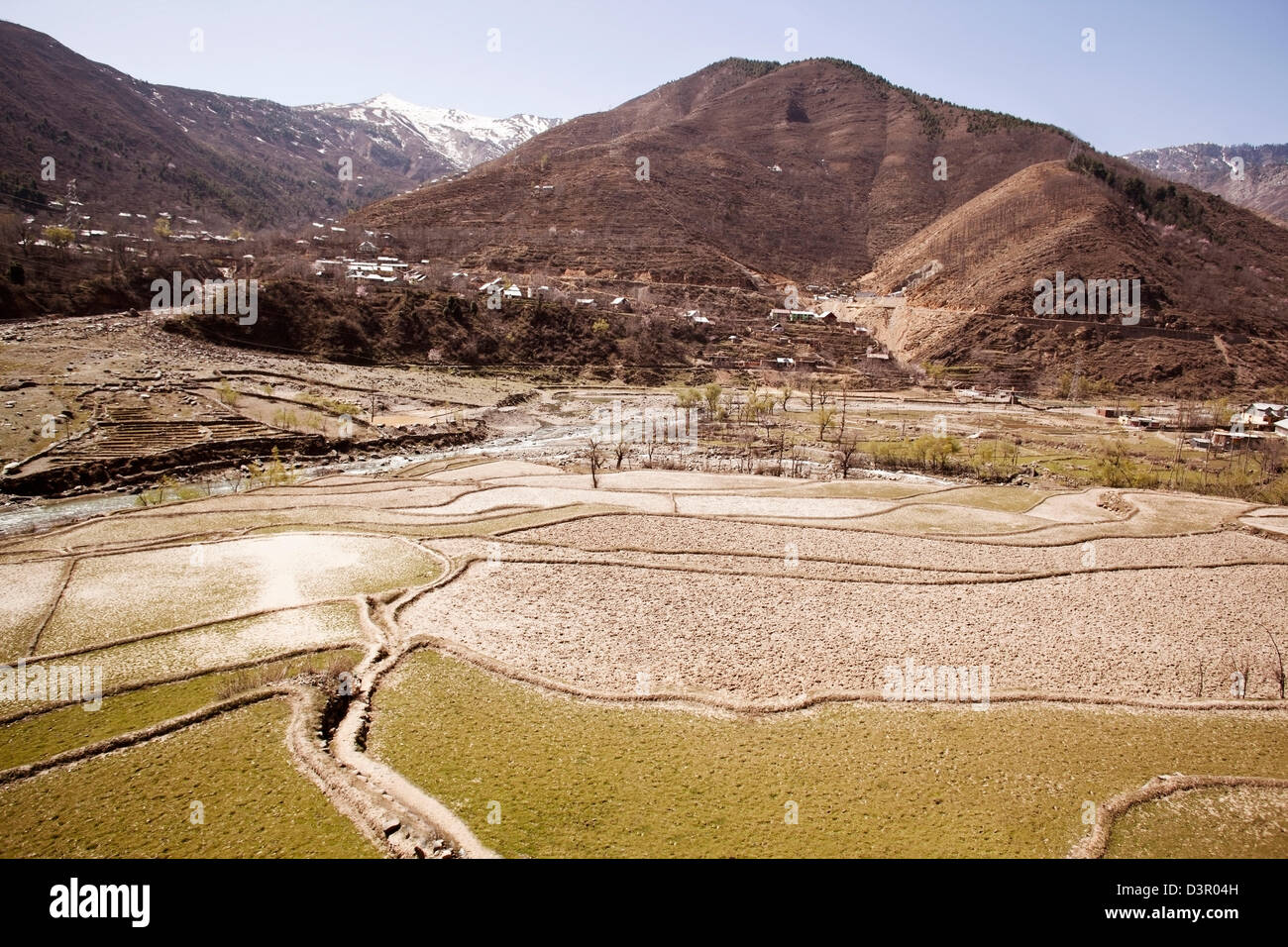 Field, Jammu And Kashmir, India Stock Photo - Alamy