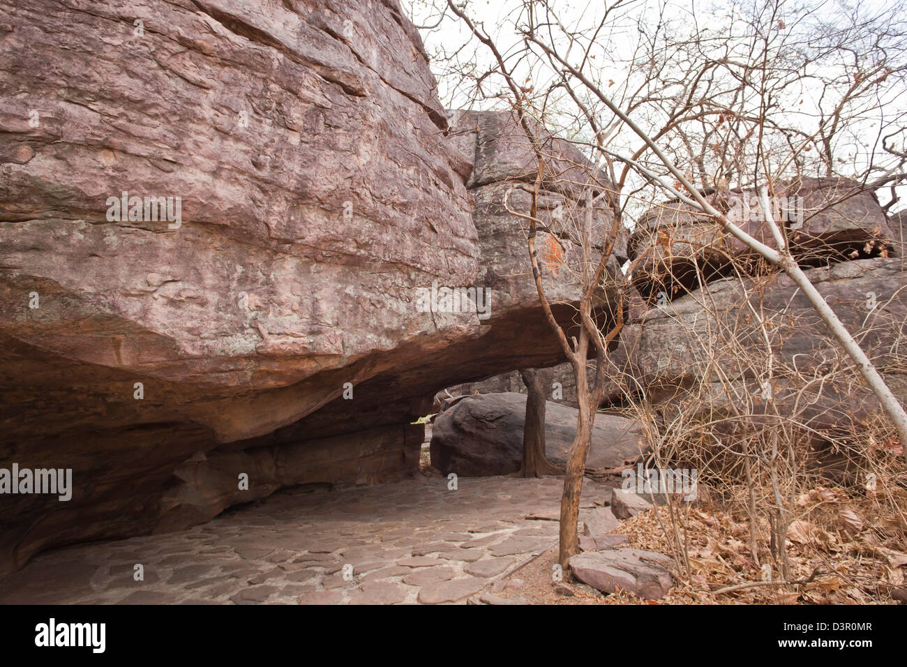 Rock shelter at an archaeological site, Bhimbetka Rock Shelters, Raisen ...