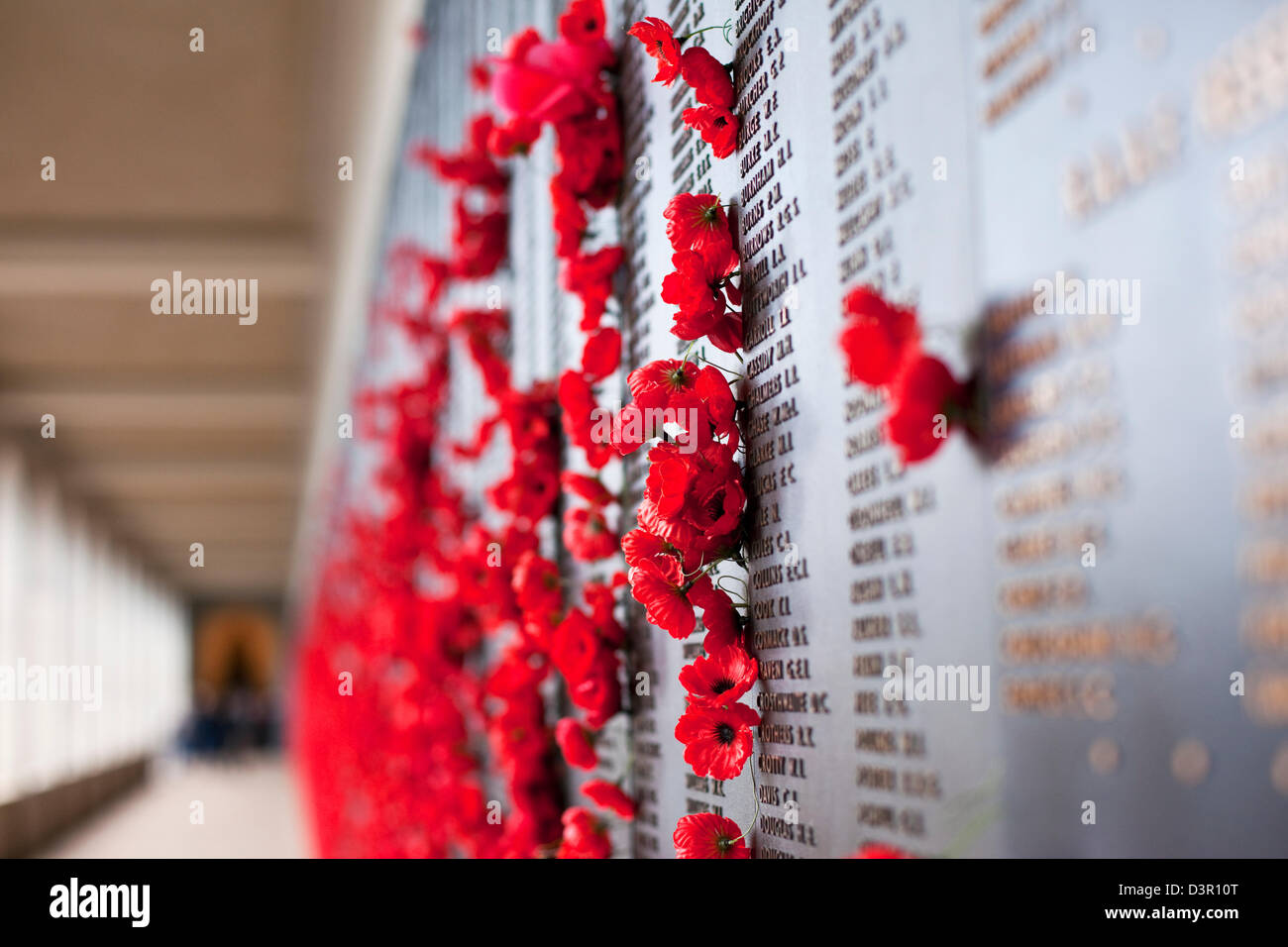 Australian war memorial roll of honour hi-res stock photography and ...