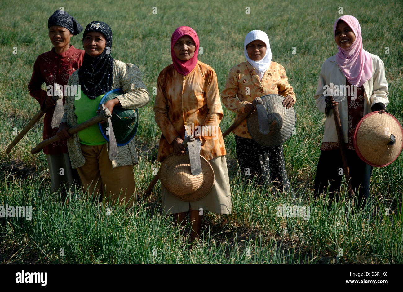 Portrait of female farm workers in a field, Kediri, East Java Stock ...