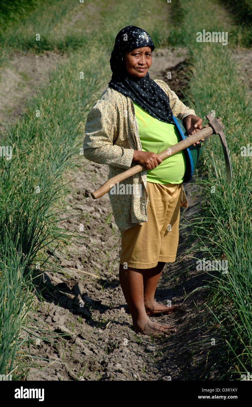 Portrait of female farm worker; Aminah (44) in a field, Kediri, East ...