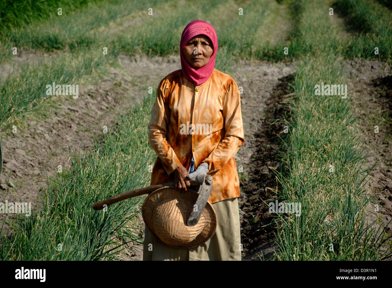 Portrait of female farm worker; Siti (48) in a field, Kediri, East Java ...