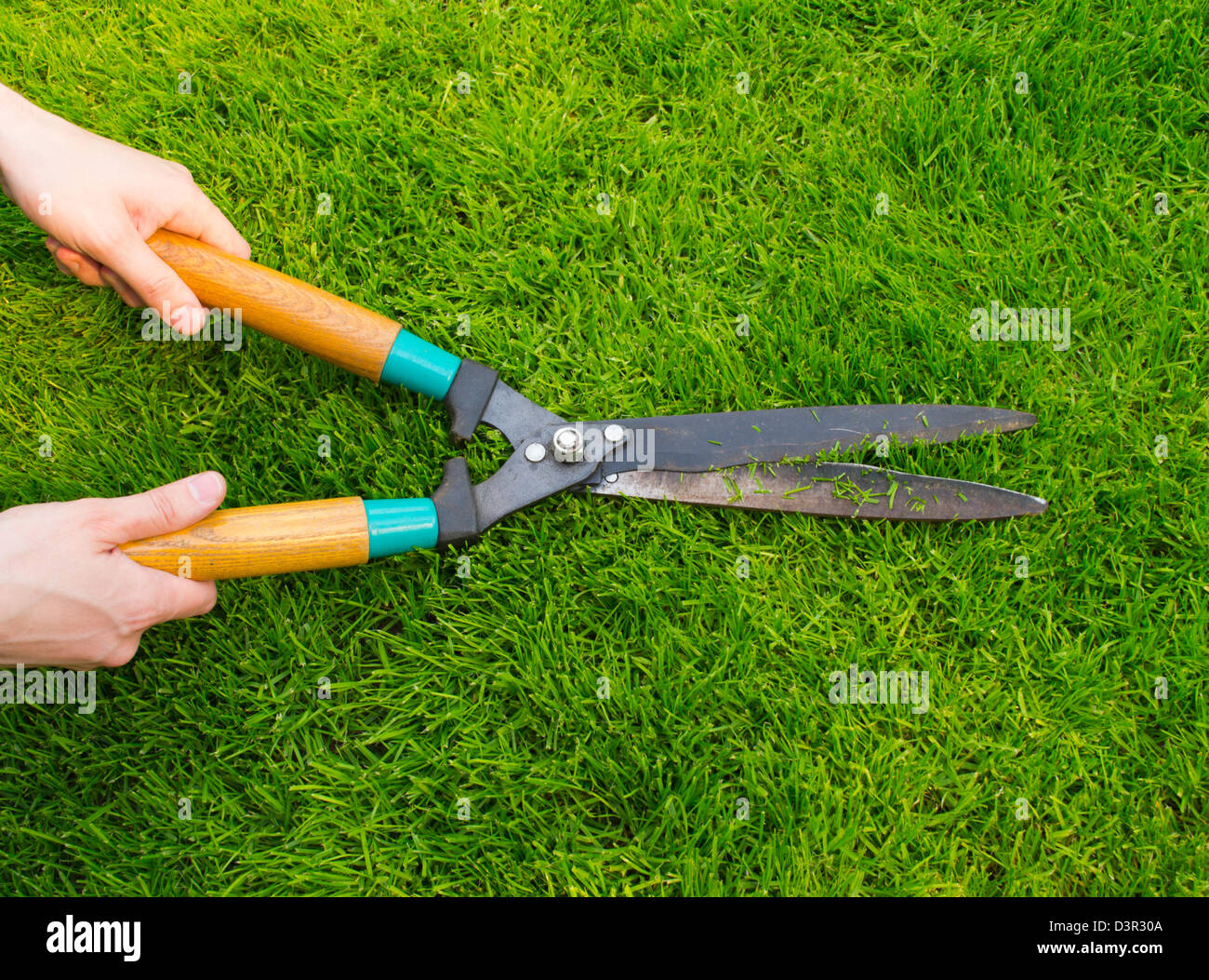 Gardeni hi-res stock photography and images - Alamy