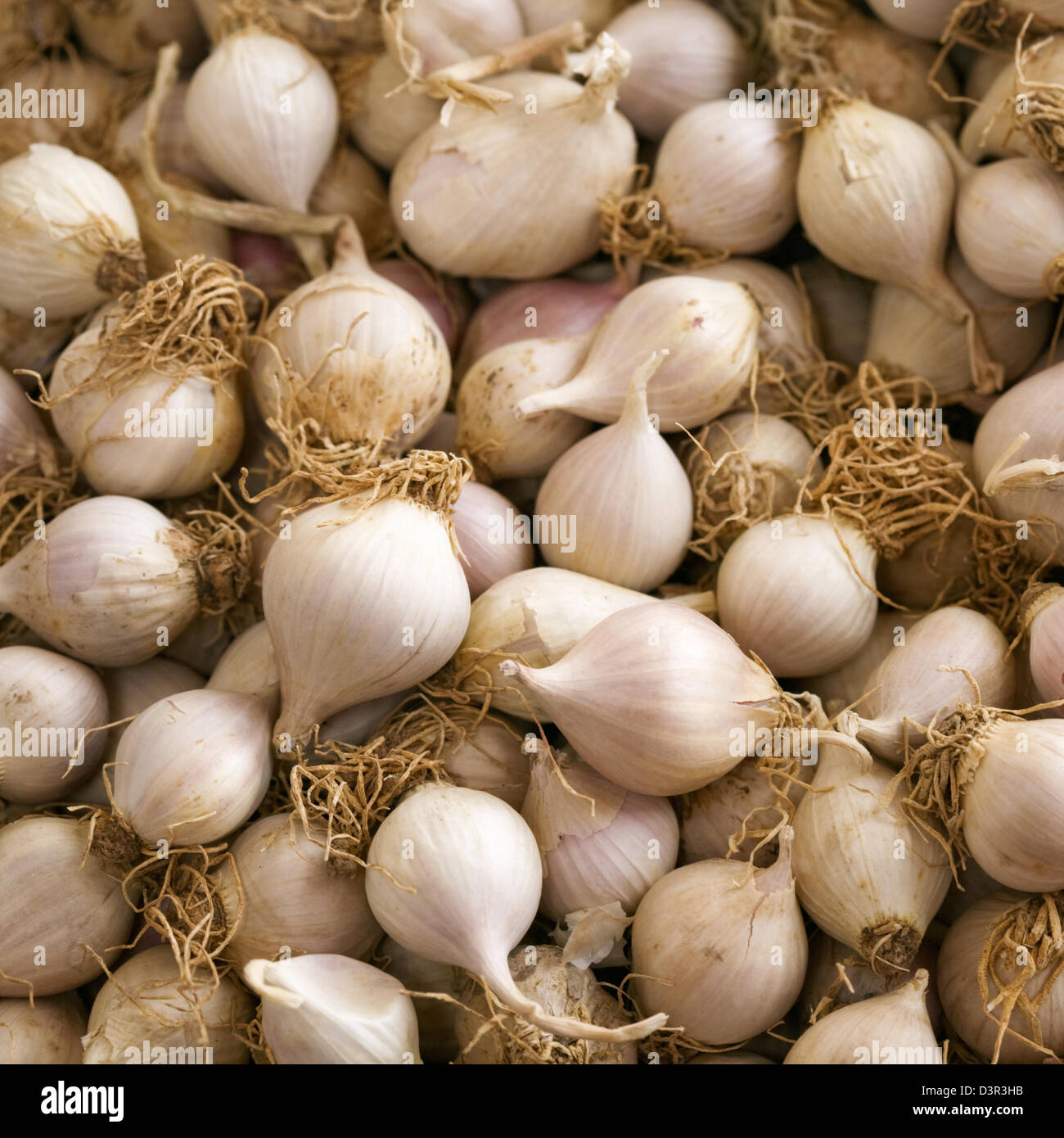 Pearl onion hi-res stock photography and images - Alamy