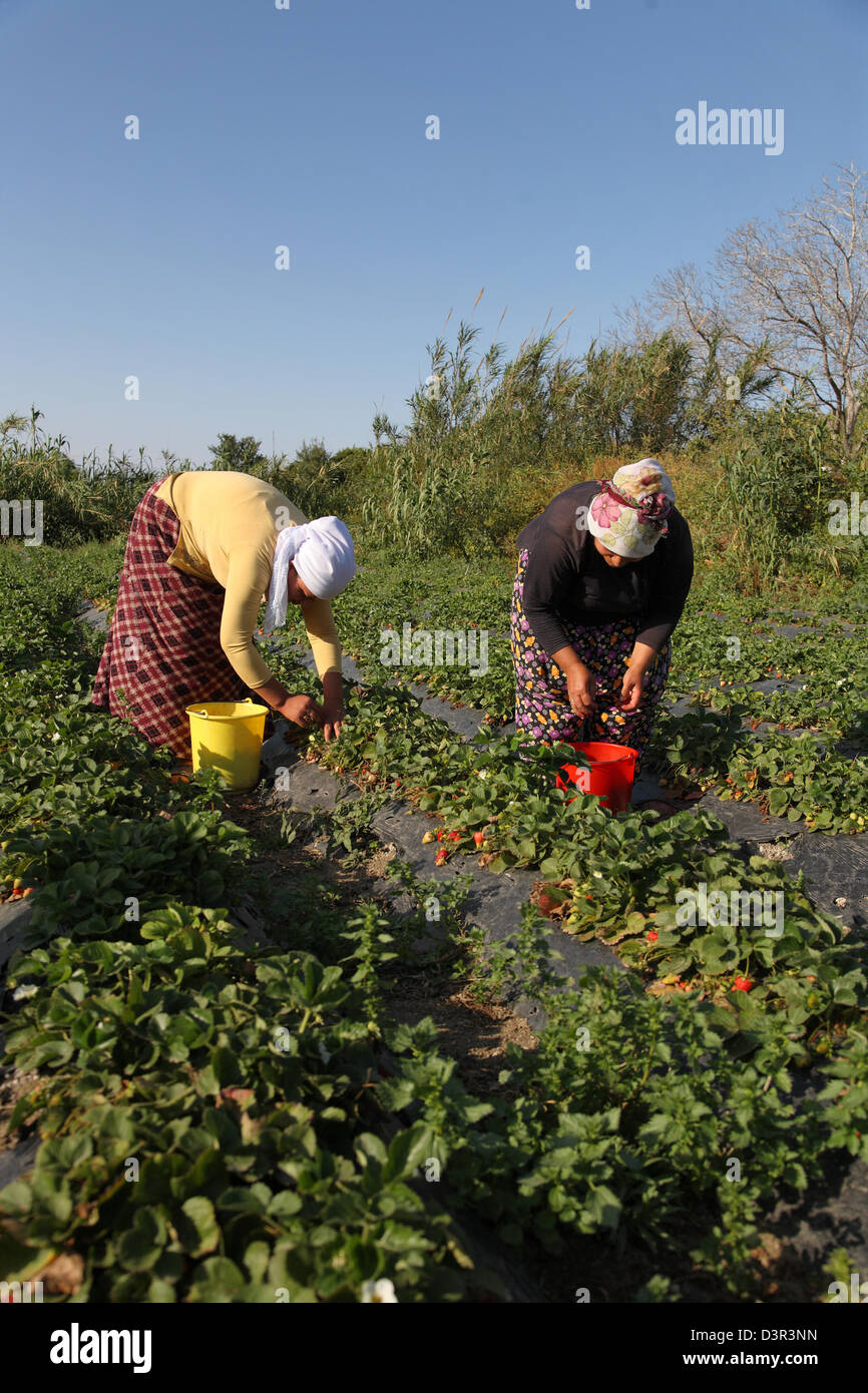 Turkish cypriot women hi-res stock photography and images - Alamy