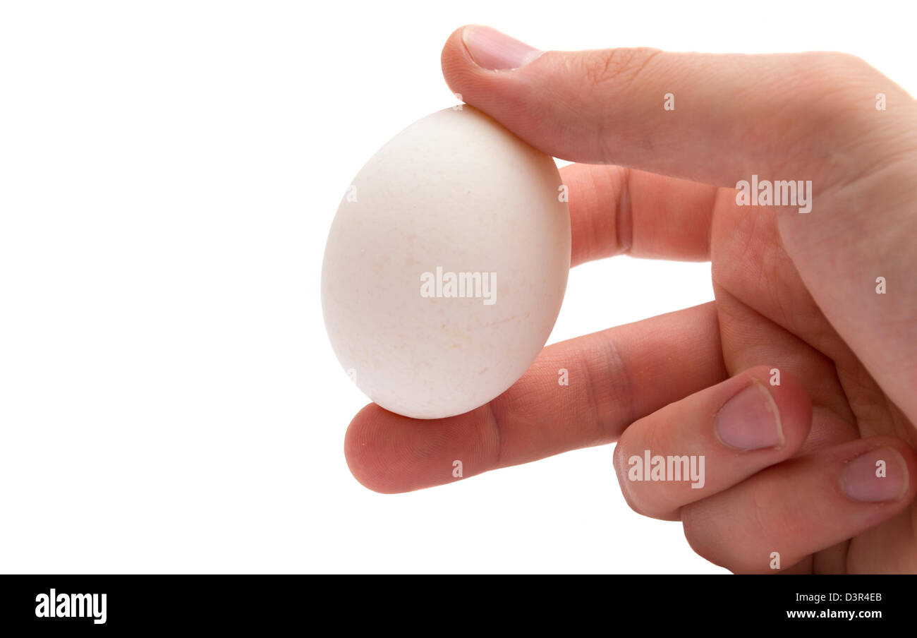 The hand holds an egg. isolated Stock Photo - Alamy