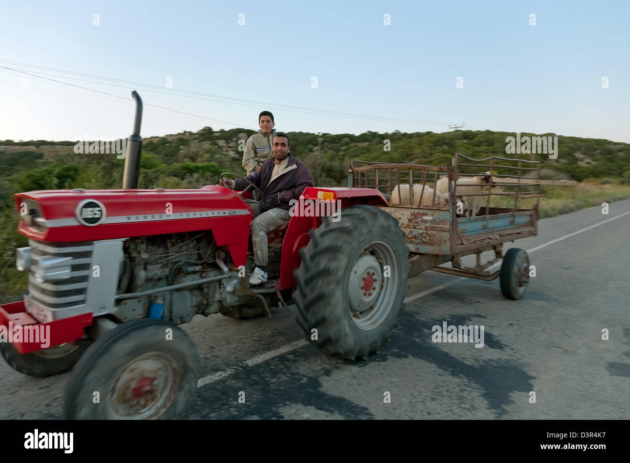 Dipkarpaz, Turk Republic of Northern Cyprus, a farmer transporting ...