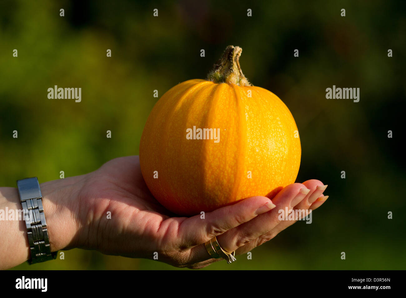 Handheld harvest hi-res stock photography and images - Alamy