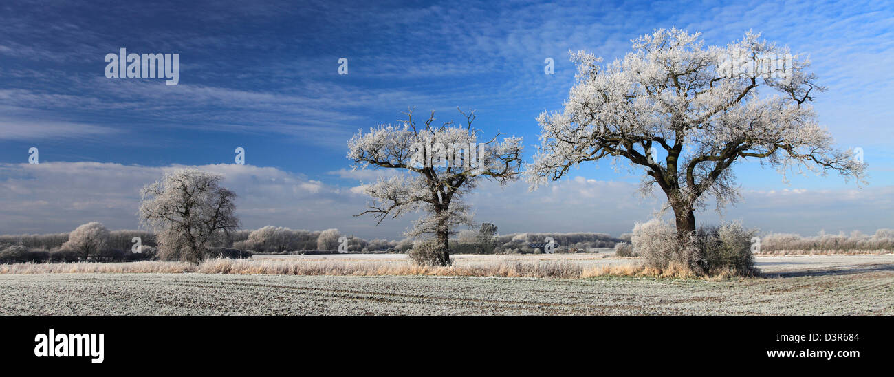 Hoare frost winter scene, Fenland fields near Ramsey town, Fenland ...