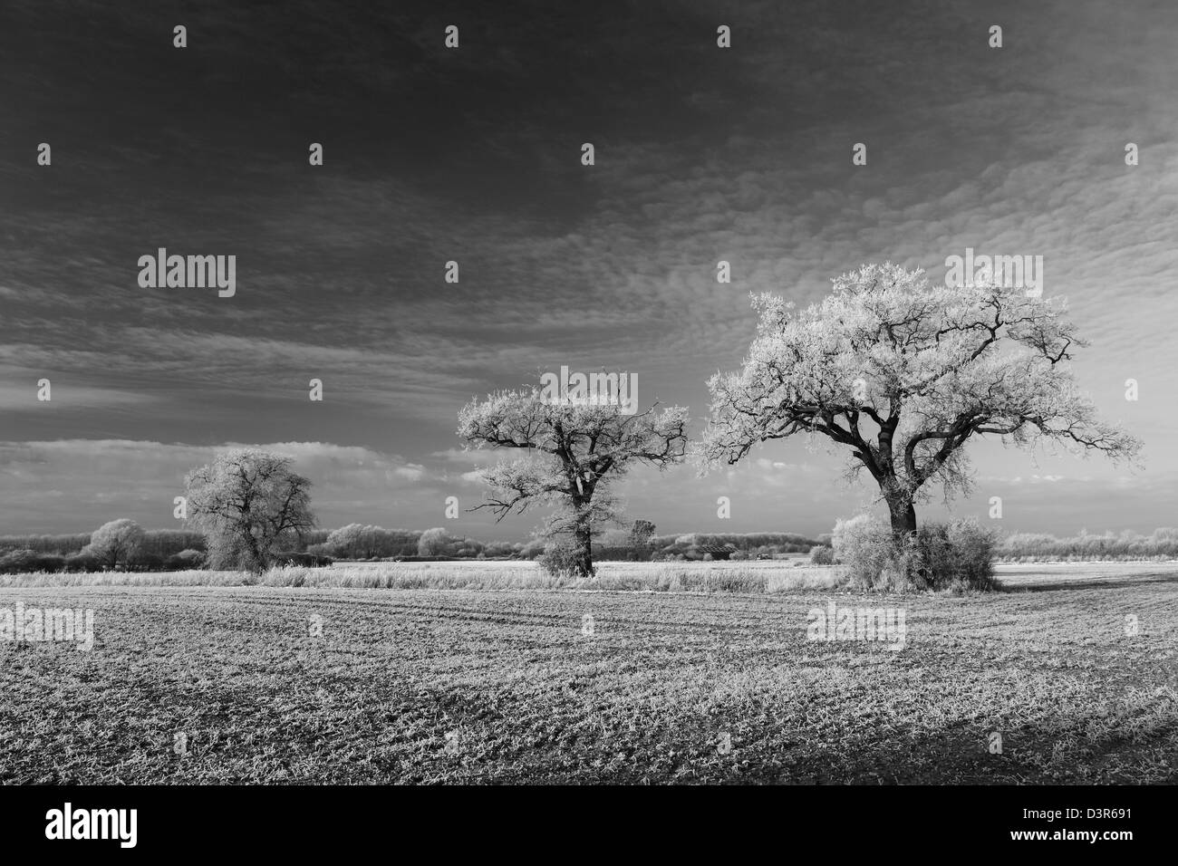 Fenland fens Black and White Stock Photos & Images - Alamy