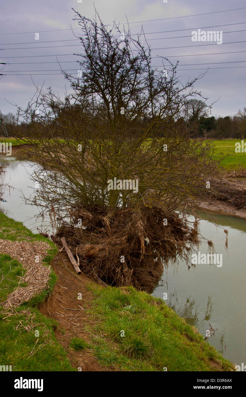 River Bank Flooding High Resolution Stock Photography and Images - Alamy