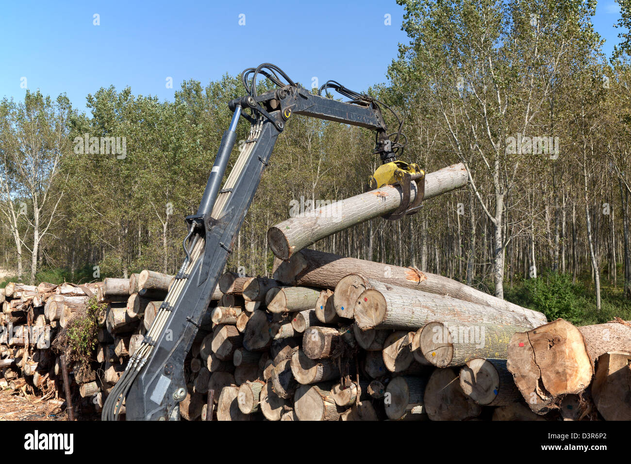Loading crane exploit hi-res stock photography and images - Alamy