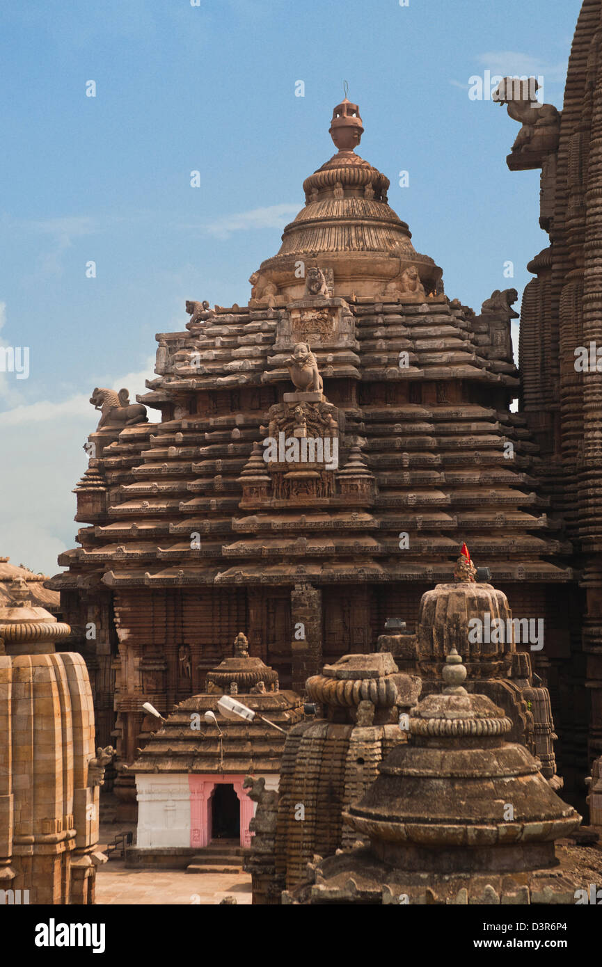 Architectural details of a temple, Lingaraja Temple, Bhubaneswar ...