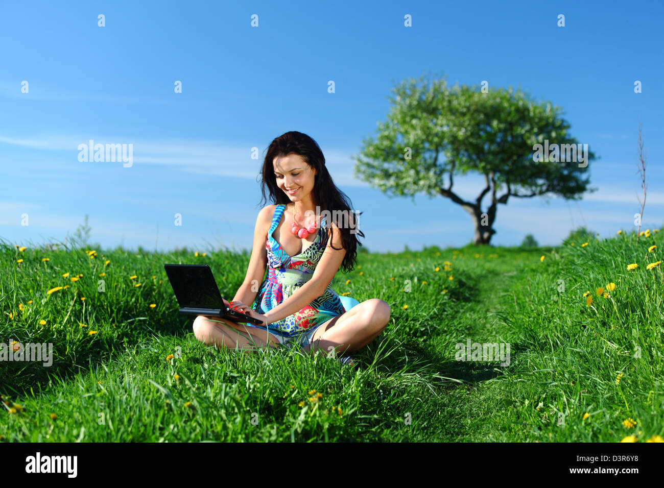 laptop work in green grass field Stock Photo - Alamy