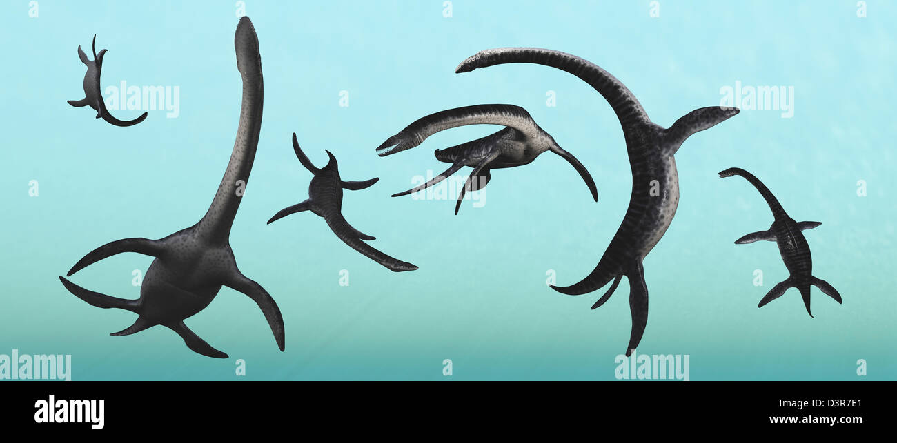 Plesiosaurus hi-res stock photography and images - Alamy