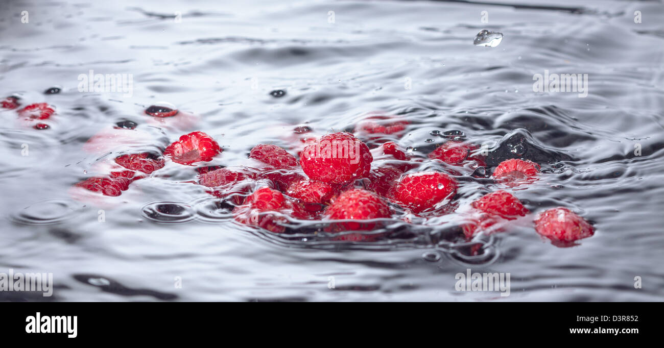 Red Raspberries Dropped into Water with Splash, closeup Stock Photo - Alamy