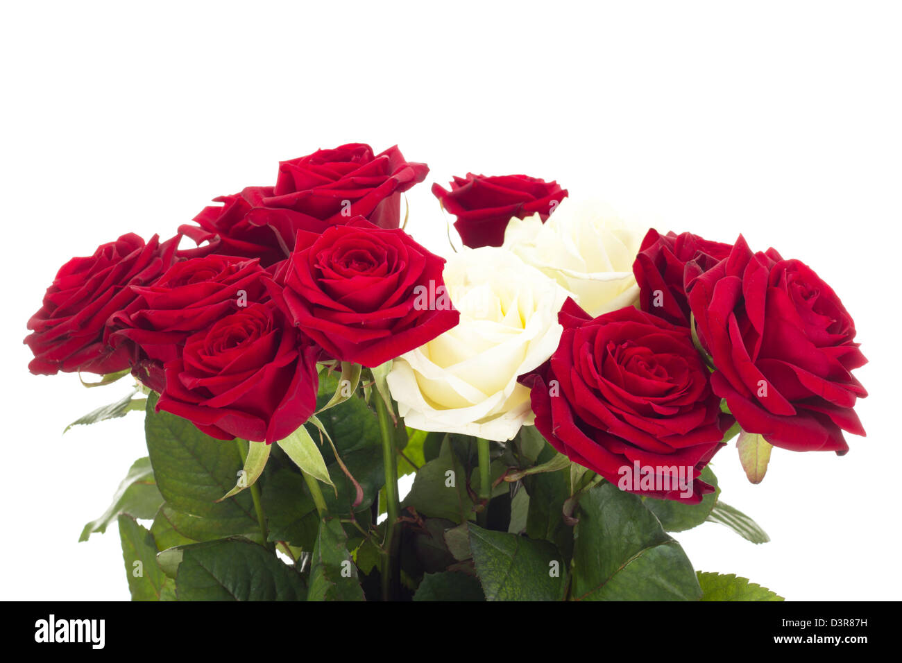 Bunch of roses Stock Photo - Alamy