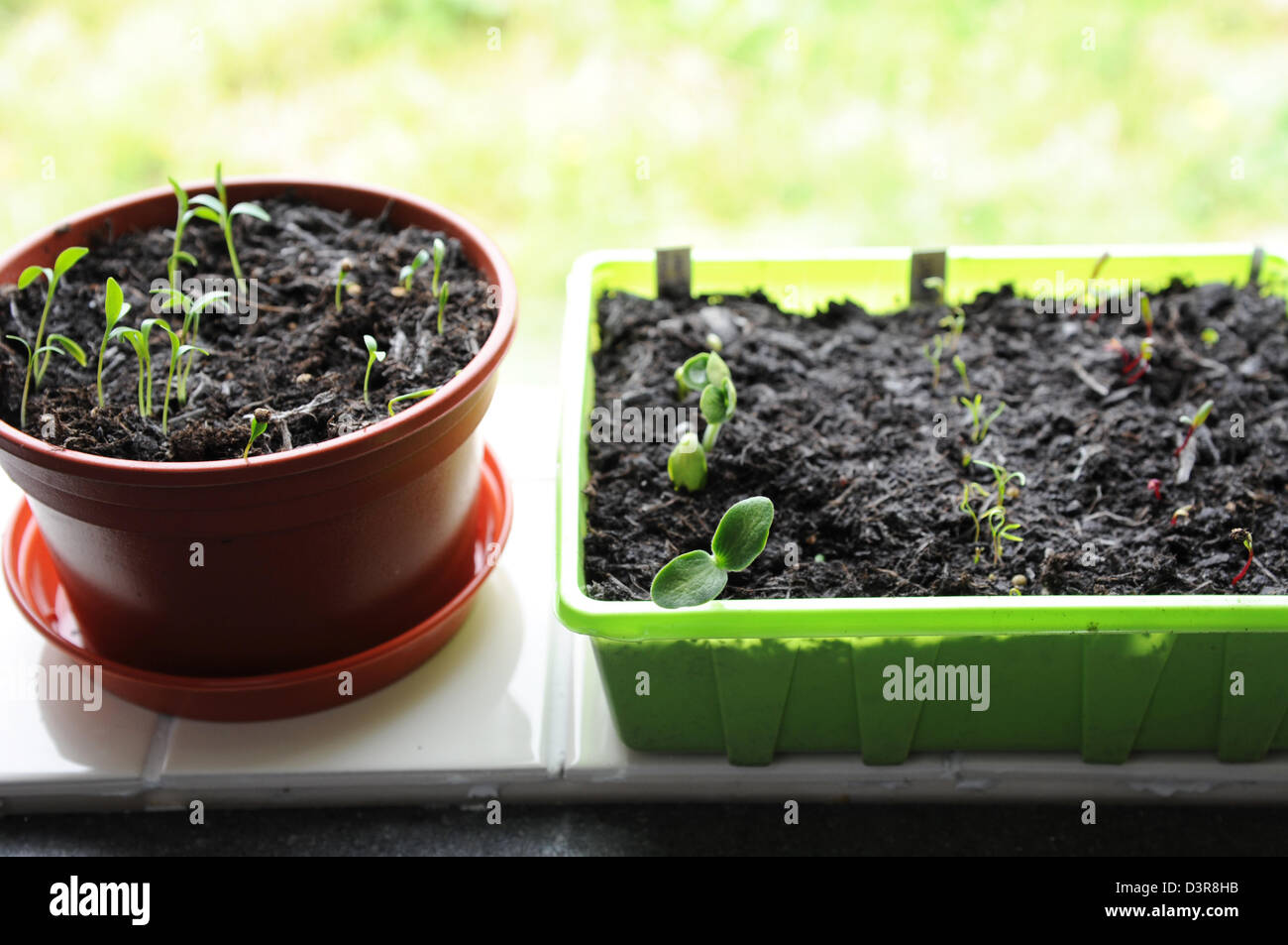 Window sill ledge hi-res stock photography and images - Alamy