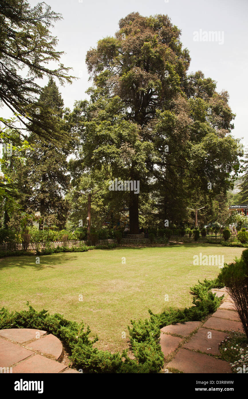Company Bagh in Mussoorie, Uttarakhand, India Stock Photo - Alamy