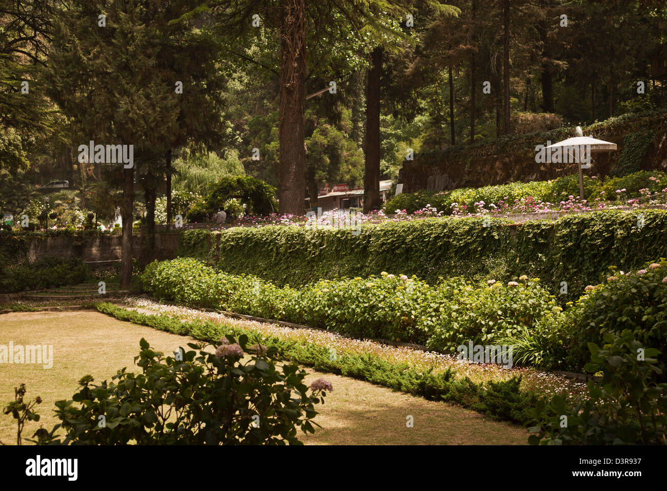 Company Bagh in Mussoorie, Uttarakhand, India Stock Photo - Alamy