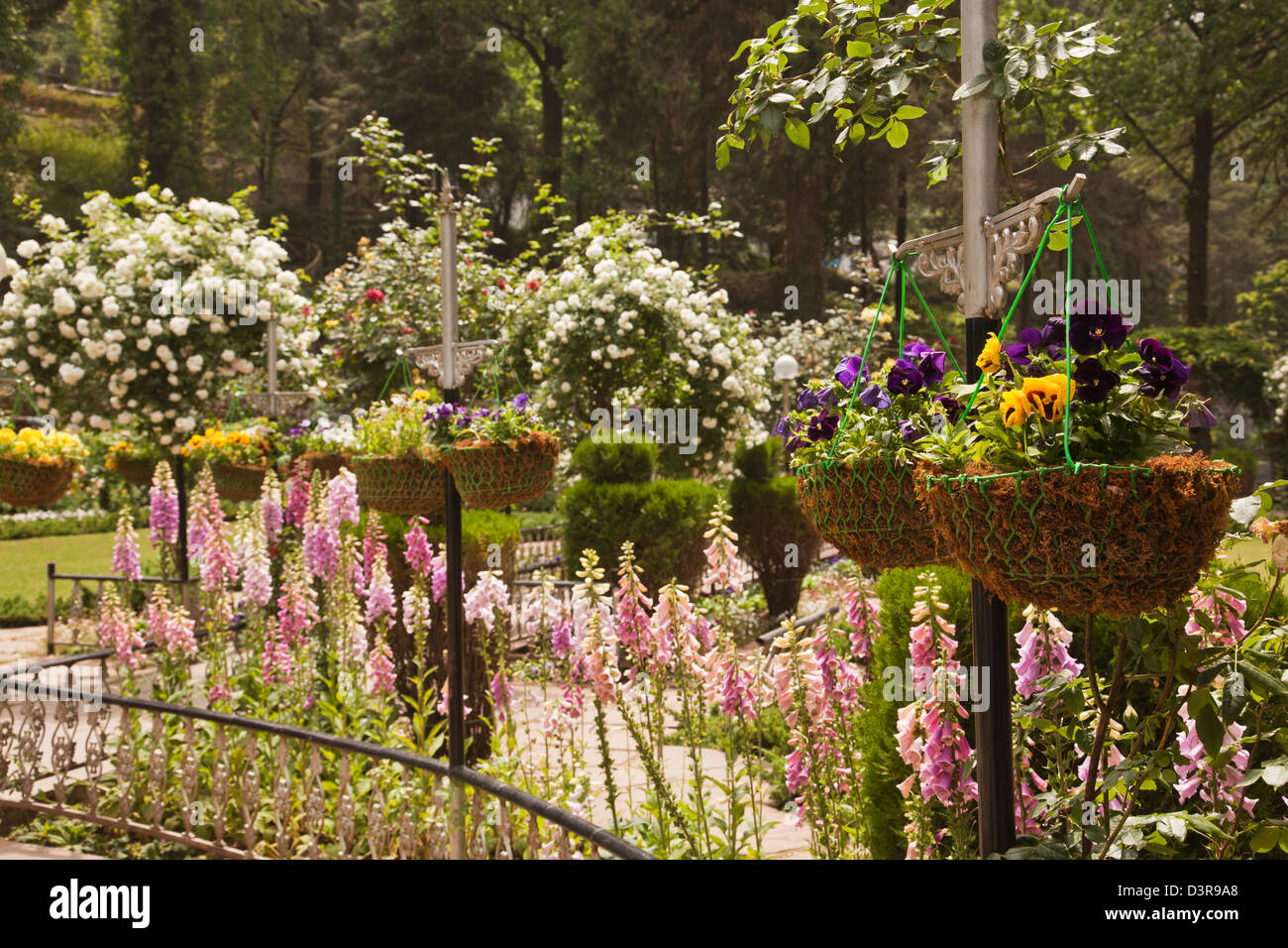 Company garden mussoorie hi-res stock photography and images - Alamy