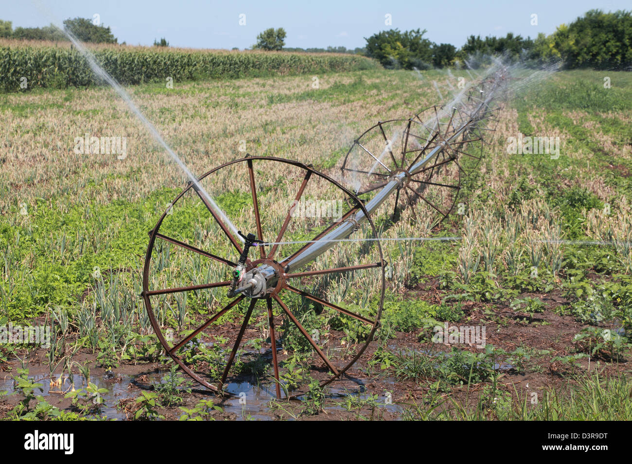 Irrigate field hi-res stock photography and images - Alamy