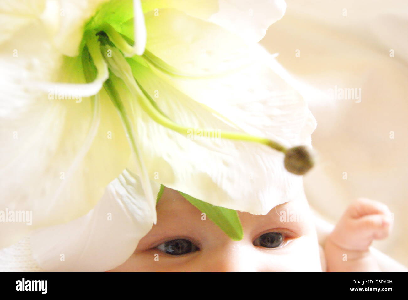 Lily baby girl hi-res stock photography and images - Alamy