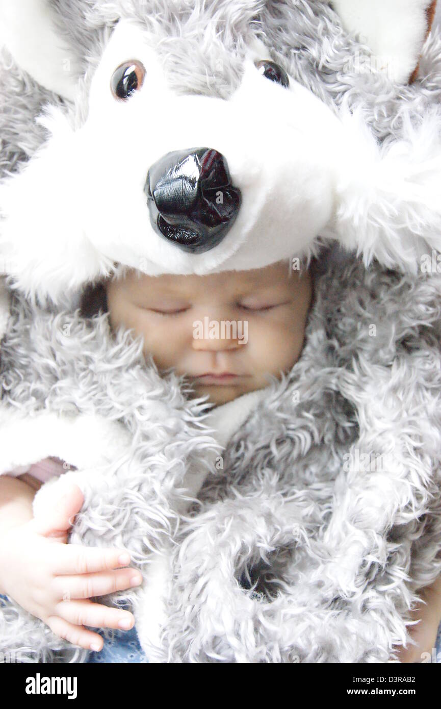 Baby in wolf hood Stock Photo - Alamy