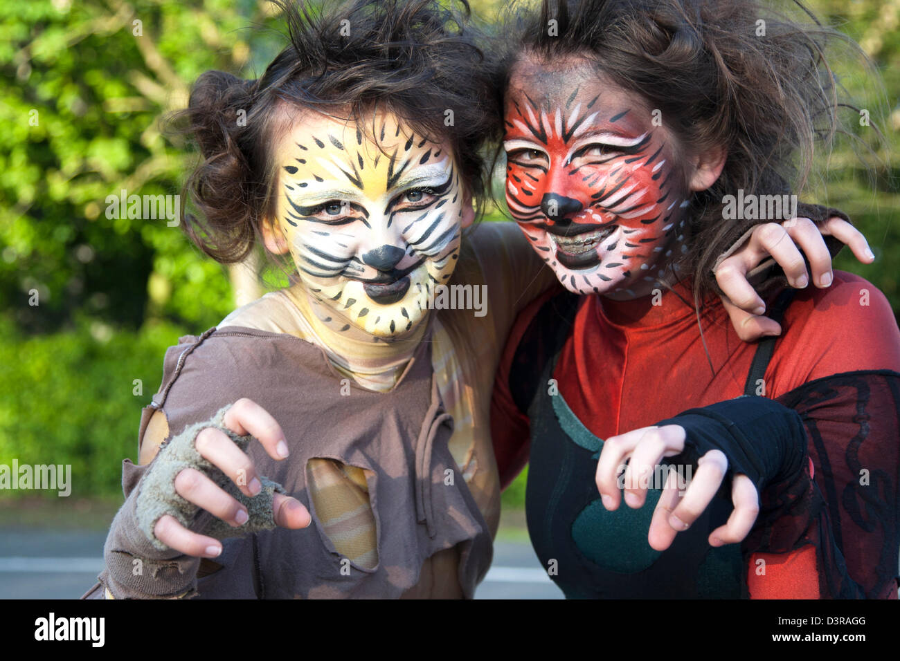 Kattenstoet, ypres hi-res stock photography and images - Alamy