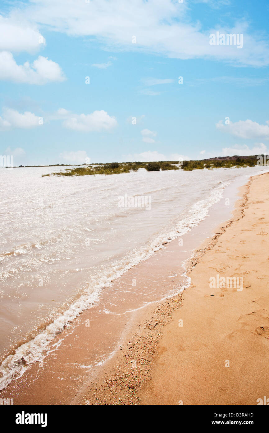Muddy water at Balachadi Beach, Jamnagar, Gujarat, India Stock Photo ...