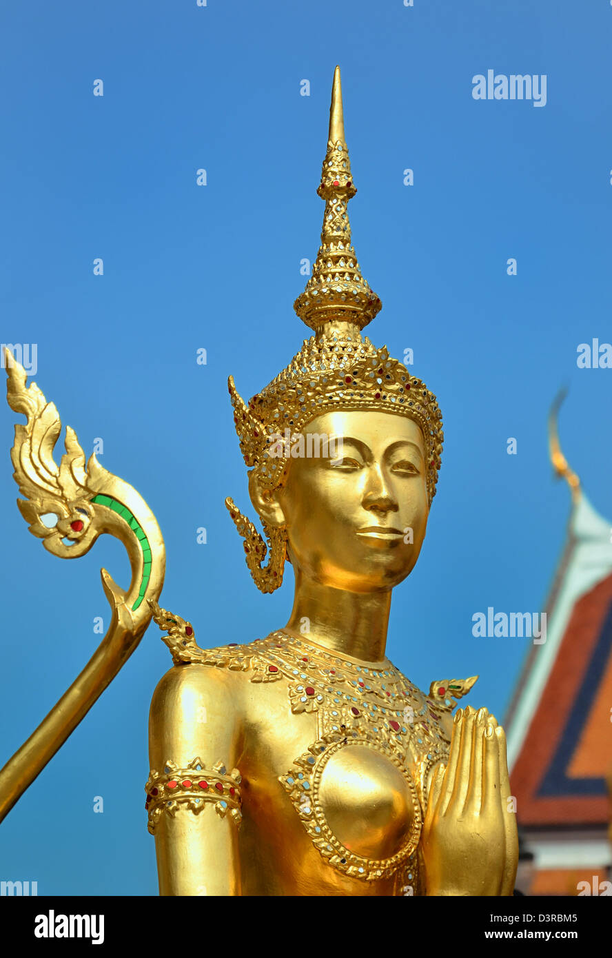 Golden guard hi-res stock photography and images - Alamy