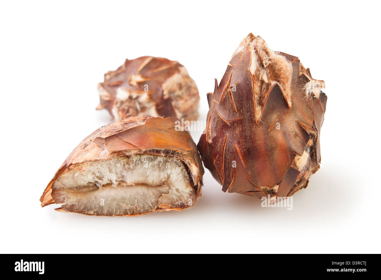 chestnut cut roasted on white background Stock Photo - Alamy