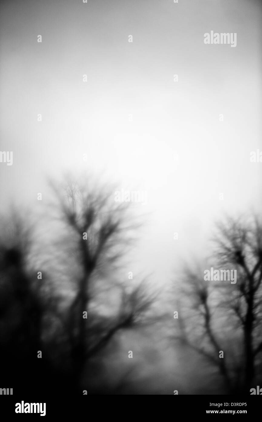 Sad trees hi-res stock photography and images - Alamy