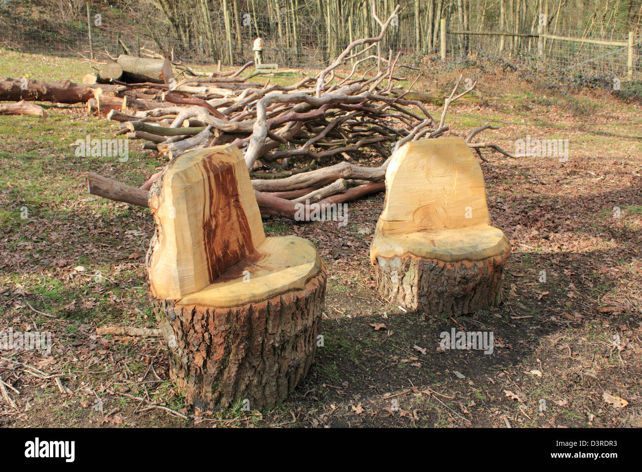Wooden stools carved from logs with chainsaw. Sussex England UK Stock ...