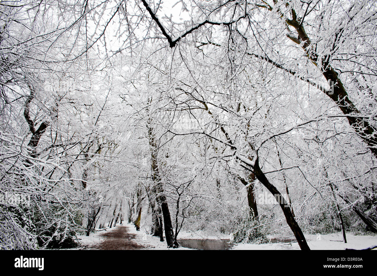 Winter garden uk hi-res stock photography and images - Alamy