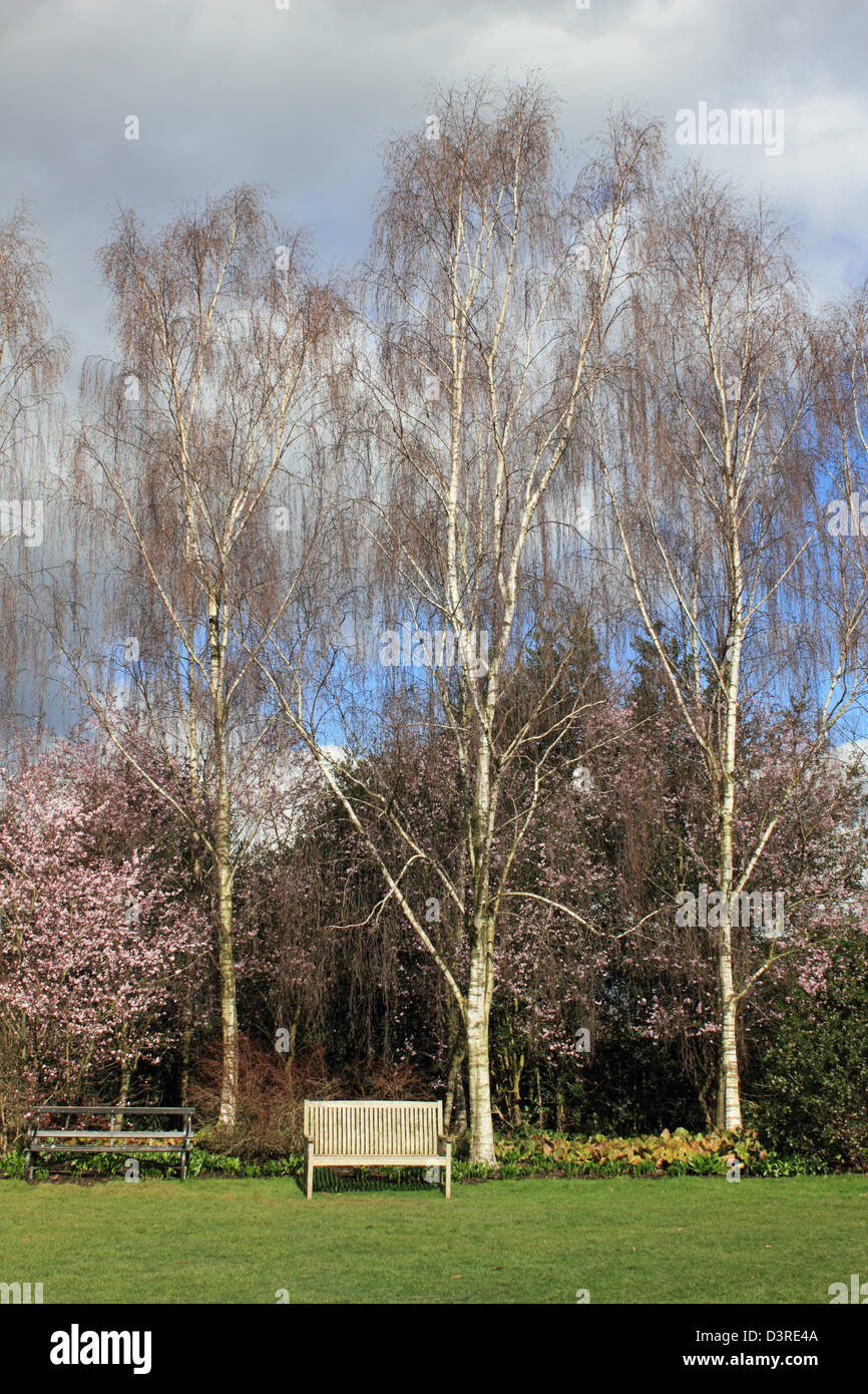 British country garden tree hi-res stock photography and images - Alamy