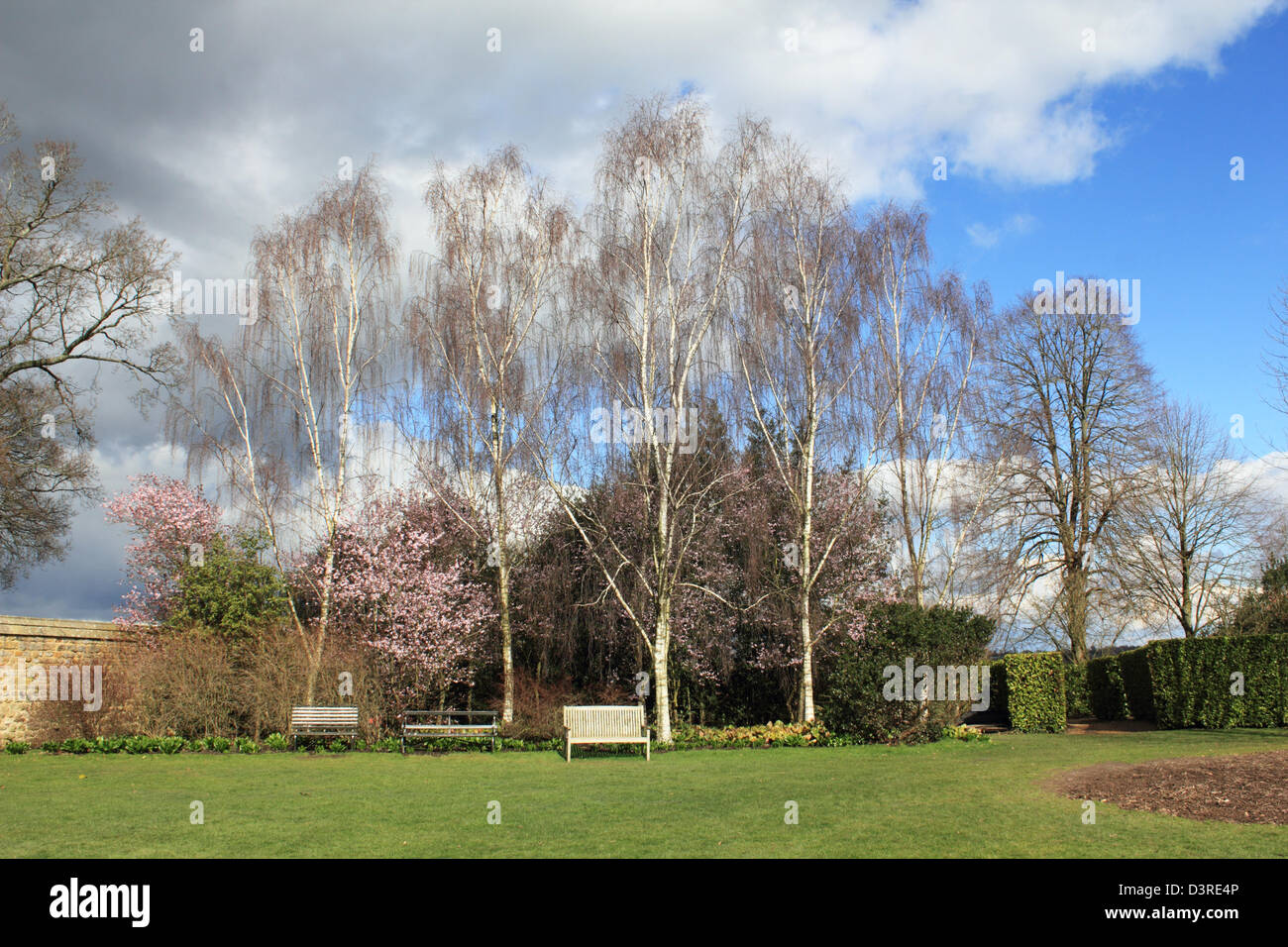 British country garden tree hi-res stock photography and images - Alamy