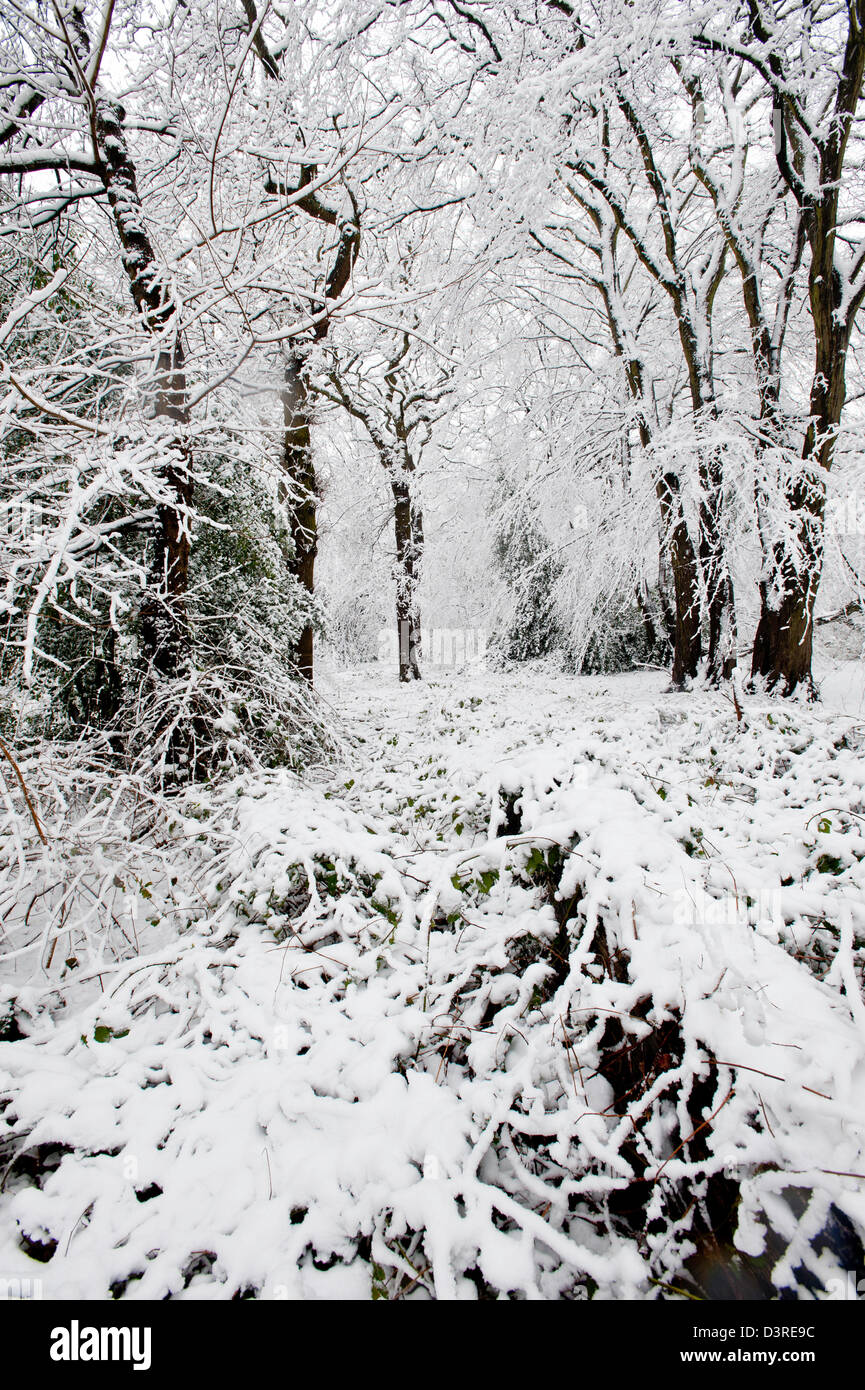 Green park london winter hi-res stock photography and images - Alamy