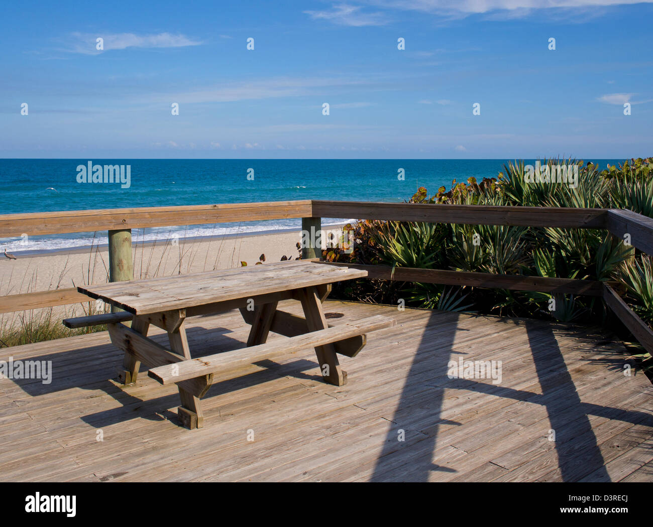 Table for You on the Beach in Florida Stock Photo - Alamy