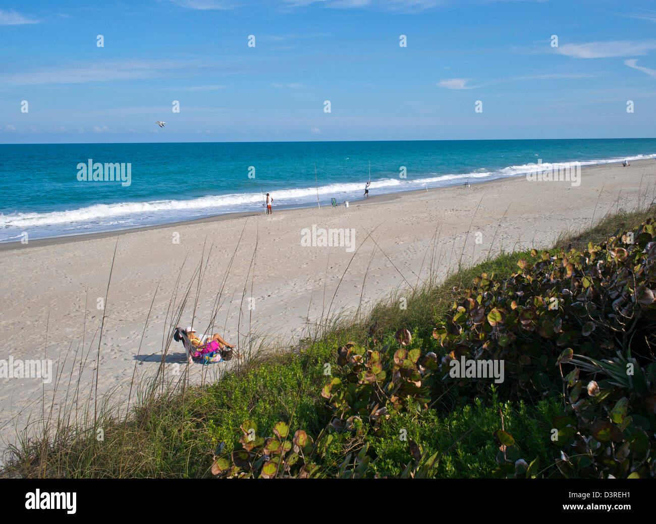 Relaxing on a Florida Beach Stock Photo - Alamy