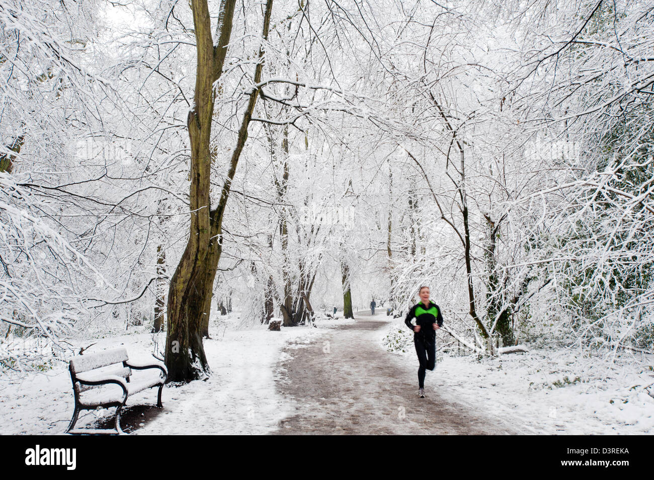 Highgate wood hi-res stock photography and images - Alamy