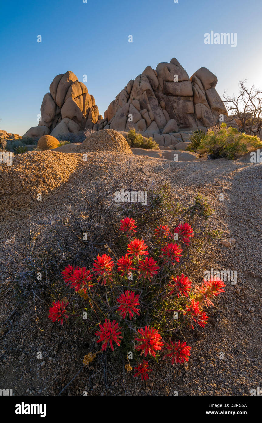 Indian rocks hi-res stock photography and images - Alamy