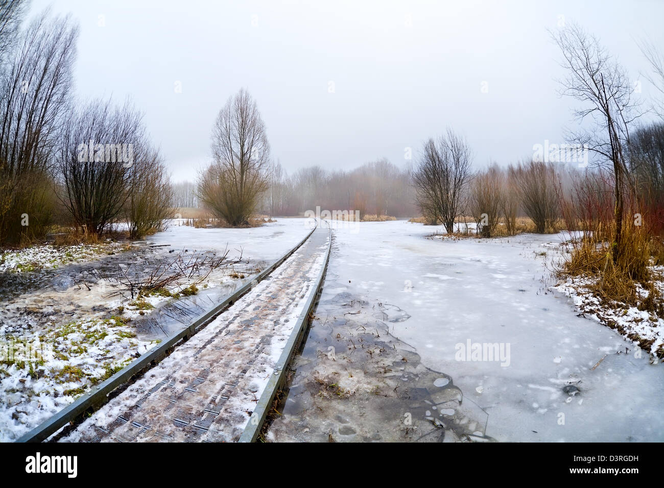 wooden road bridge through frozen lake in misty day Stock Photo - Alamy