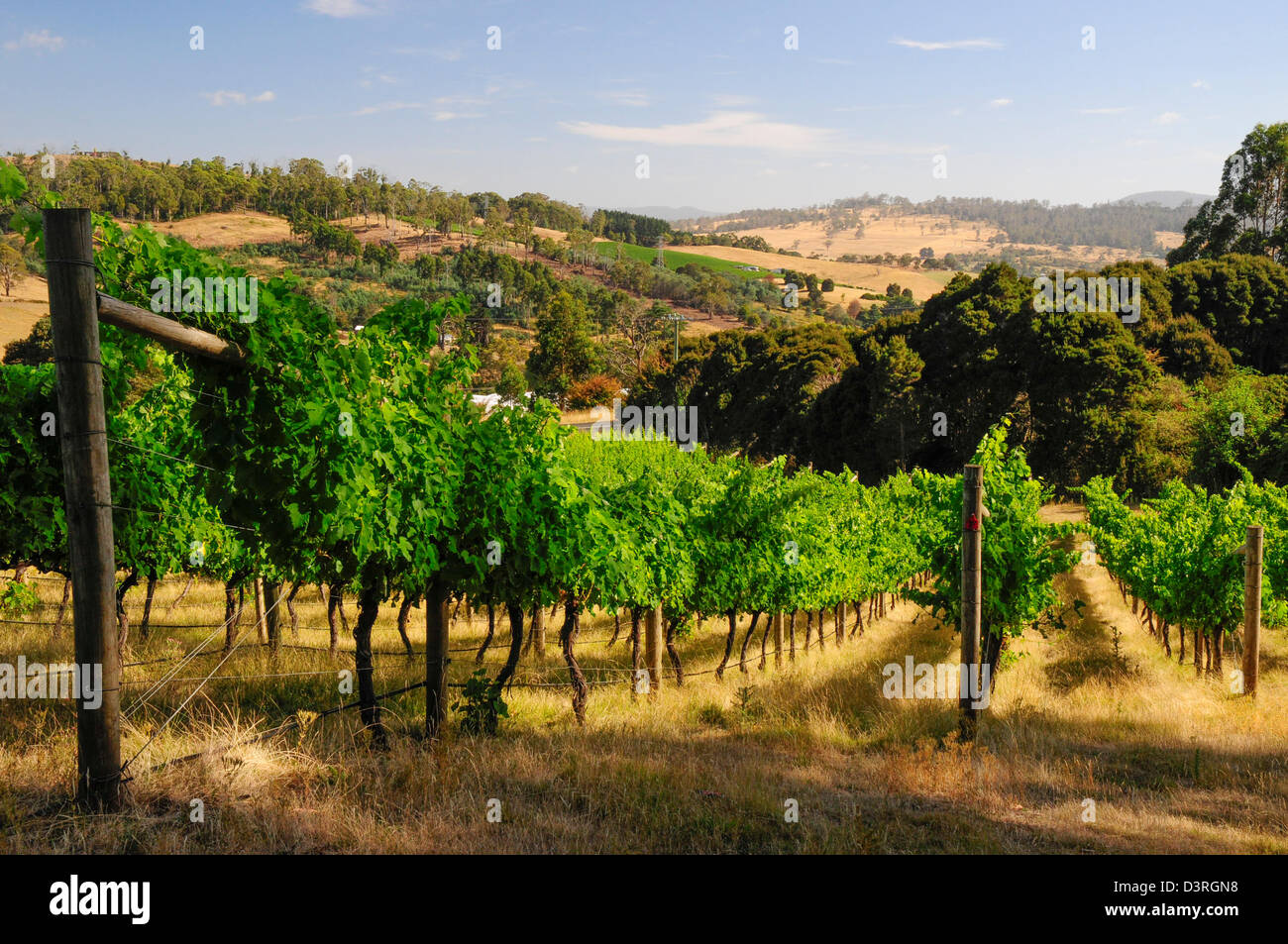 Tamar valley hi-res stock photography and images - Alamy