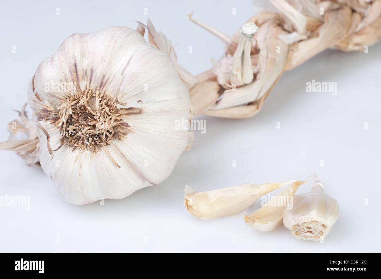 Closeup polish organic garlic on white Stock Photo - Alamy