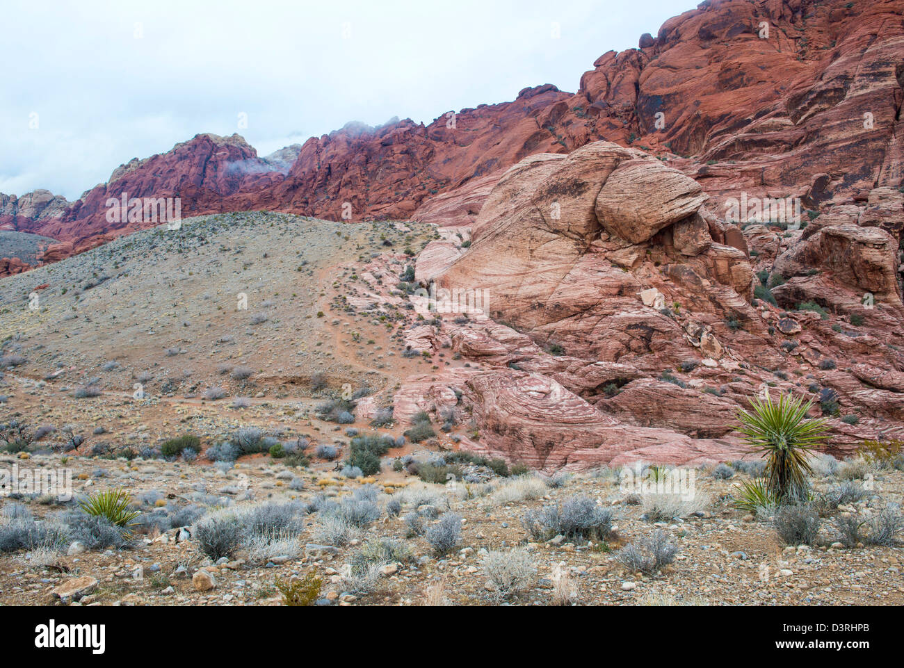 The Red Rock canyon near las Vegas , Nevada Stock Photo - Alamy