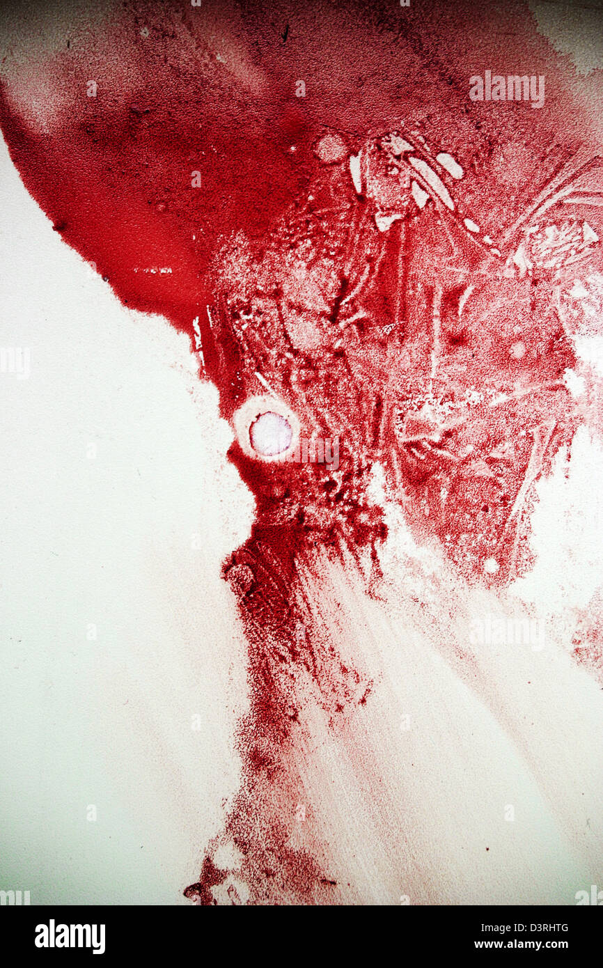 Blood spot on the grunge wall Stock Photo - Alamy
