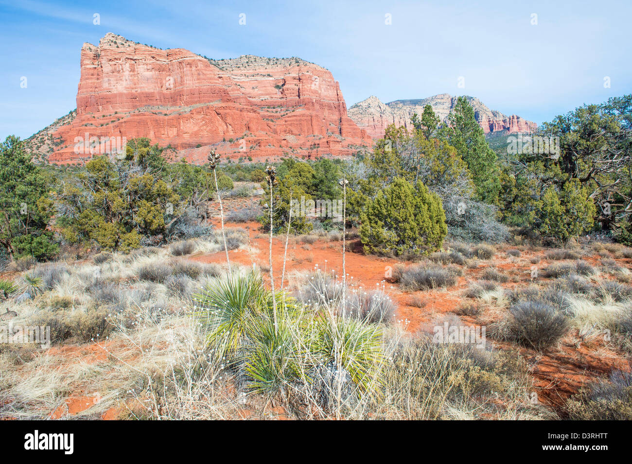 Sedona Arizona , area landscape with red sandstone cliffs Stock Photo ...