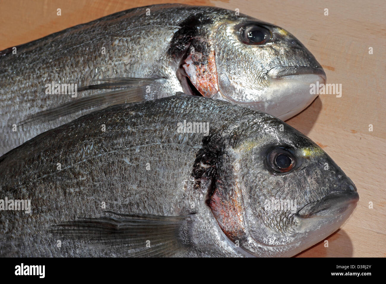 Two fresh raw sea breams on a wooden cutting board Stock Photo - Alamy
